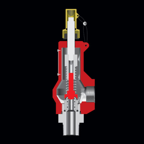 8250 Series Safety Relief Valves - Taylor Valve Technology